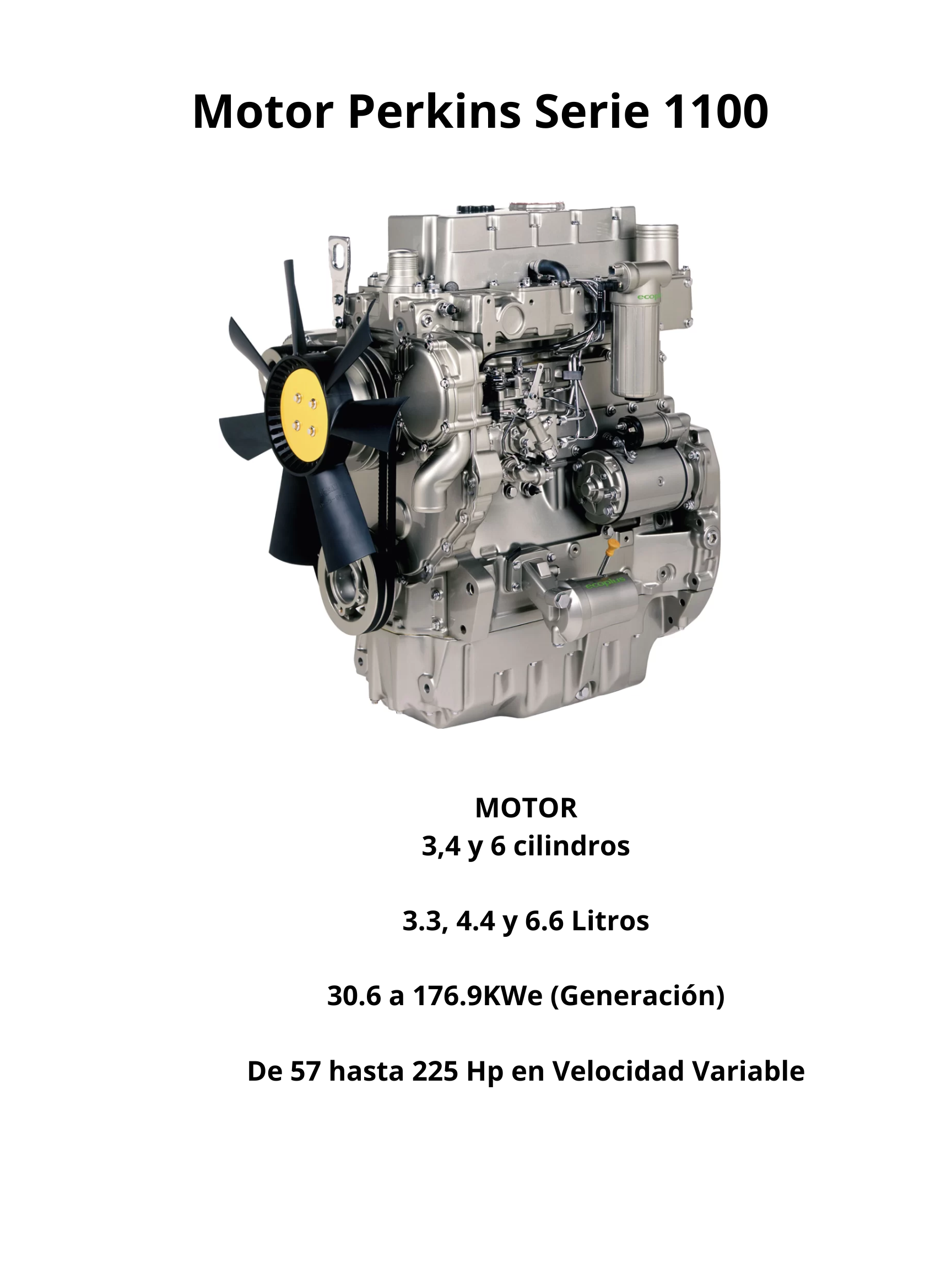 MOTOR SERIE 1100 | Torre Maquinaria SA de CV